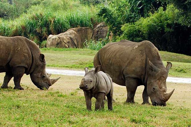 Tampa Bay CityPASS® - FAQs