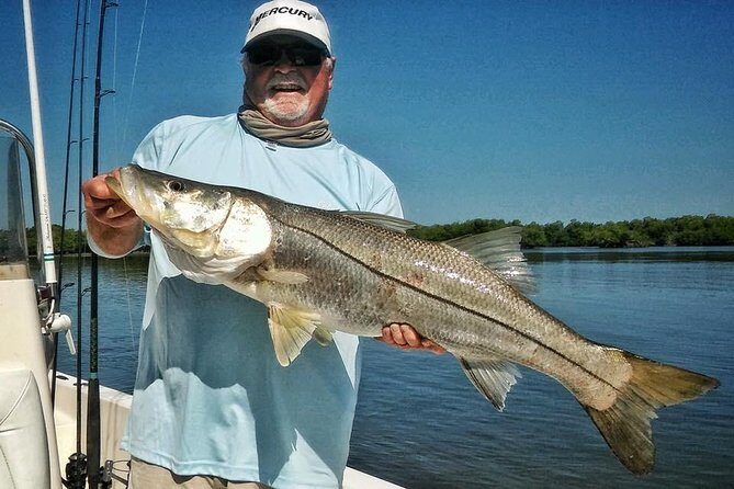 Tampa Bay Inshore Fishing Charters - Who Will Love This Tour?