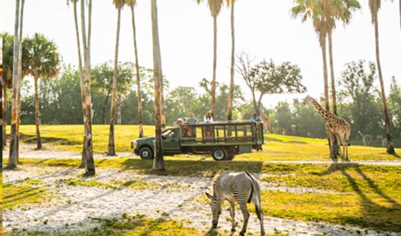 Tampa Bay: Serengeti Safari Tour - The Practical Side