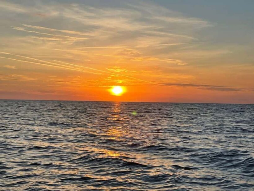 Tampa Bay: Sunset Cruise with Celebrity Homes and Wildlife - An In-Depth Look at the Tampa Bay Sunset Cruise
