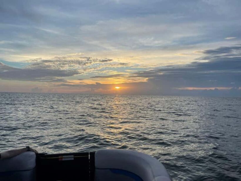 Tampa Bay: Sunset Cruise with Celebrity Homes and Wildlife - The Good and the Not-So-Good