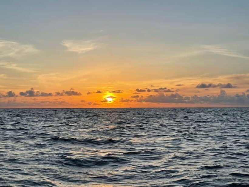 Tampa Bay: Sunset Cruise with Celebrity Homes and Wildlife - Who Should Consider This Tour?
