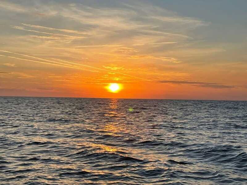 Tampa Bay: Sunset Cruise with Celebrity Homes and Wildlife - Final Thoughts