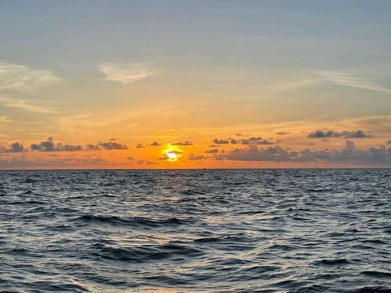 Tampa Bay: Sunset Cruise with Celebrity Homes and Wildlife - Key Points