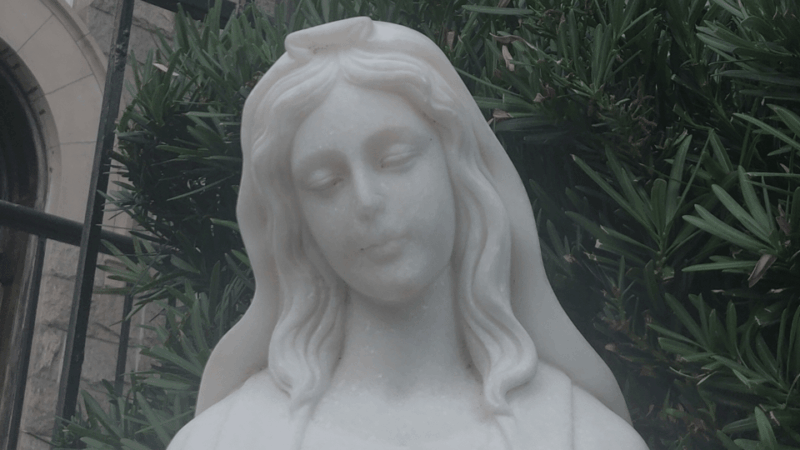 Tampa: Ghost and Haunted History Tour - Practical Tips for Participants