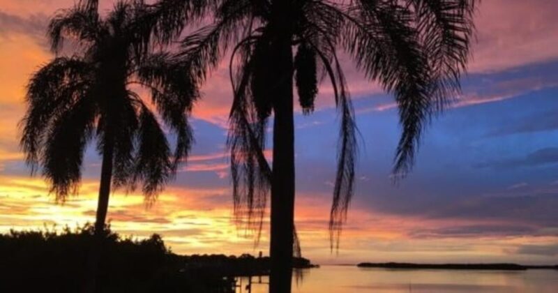 Tampa: Hillsborough River Evening Boat Tour Up to 13 people - Final Thoughts: Is This For You?