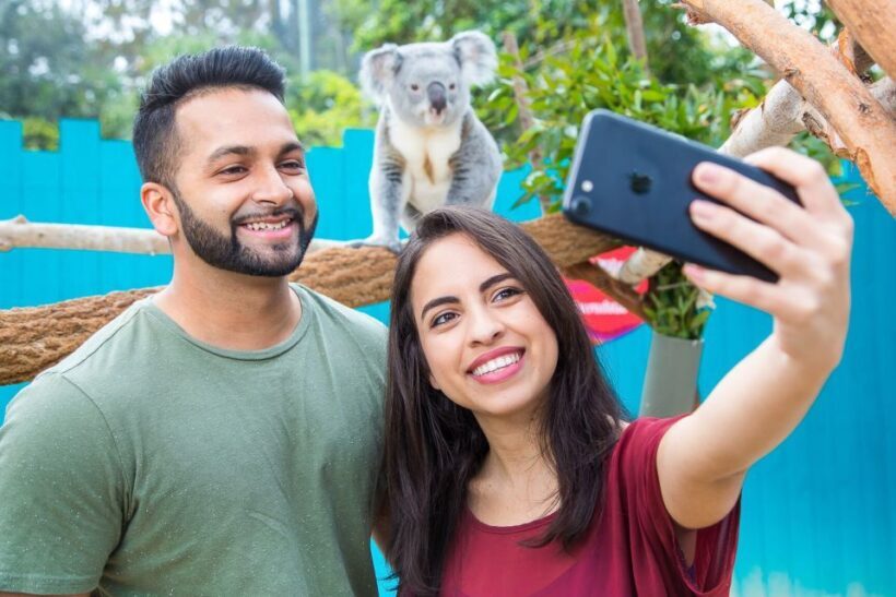 Tampa: ZooQuarium- ZooTampa & Florida Aquarium Combo Ticket - FAQ