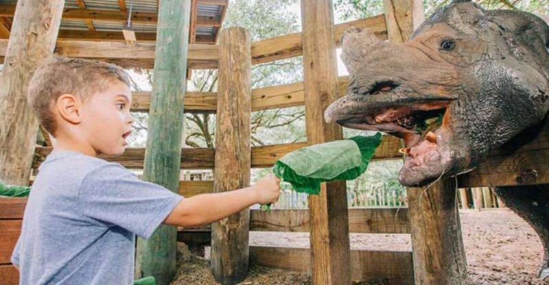 Tampa: ZooTampa at Lowry Park Entry Ticket - The Highlights: What Makes ZooTampa Special