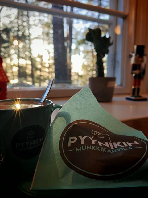 Tampere Panoramic Tour - Practical Details and Tips