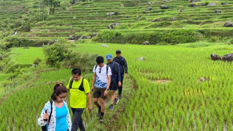 Tana Toraja: Explore Traditional Village and Nature Beauty - The Practical Side: What’s Included and How to Prepare