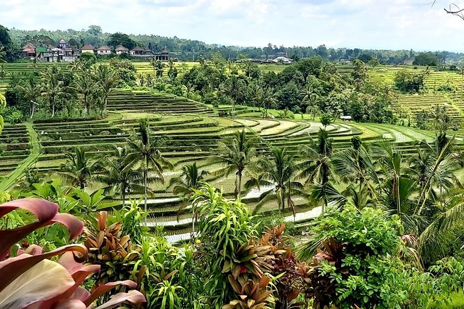 Tanah Lot and Jatiluwih Unesco Rice Terrace Private Tour - Detailed Breakdown of the Itinerary