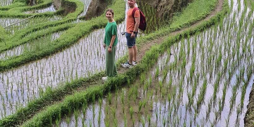Tanah lot, Beratan lake temple, Jatiluwih rice terrace - Who Should Consider This Tour?