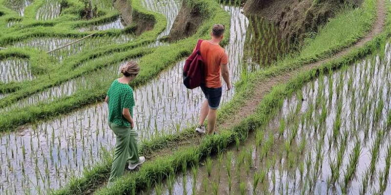 Tanah lot, Beratan lake temple, Jatiluwih rice terrace - Final Thoughts: Is This Tour Right for You?