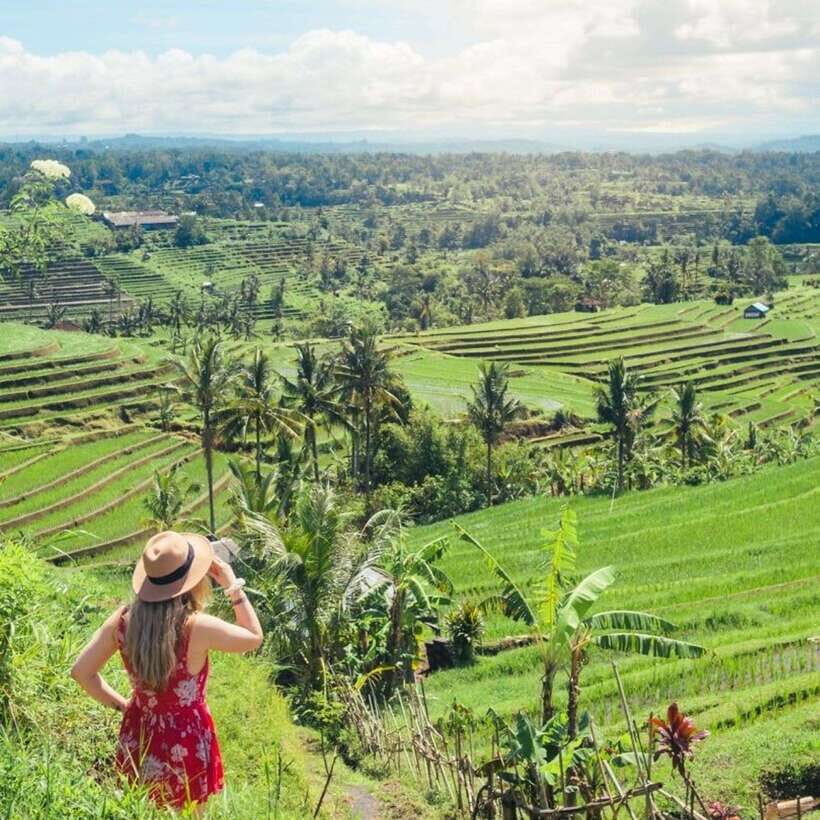 Tanah Lot-Nung Nung Waterfall-Jatiluwih and Bedugul - Final Thoughts: Is This Tour Worth It?