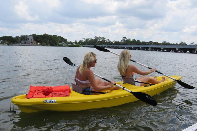 Tandem Kayak Rental through the Floridian Spruck Creek - What the Tour Entails
