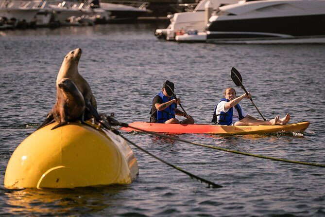 Tandem Kayak Rentals in Mission Bay - Who Should Book This?
