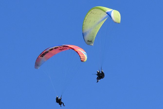 Tandem Paragliding Flights From Vik - Safety Precautions and Considerations