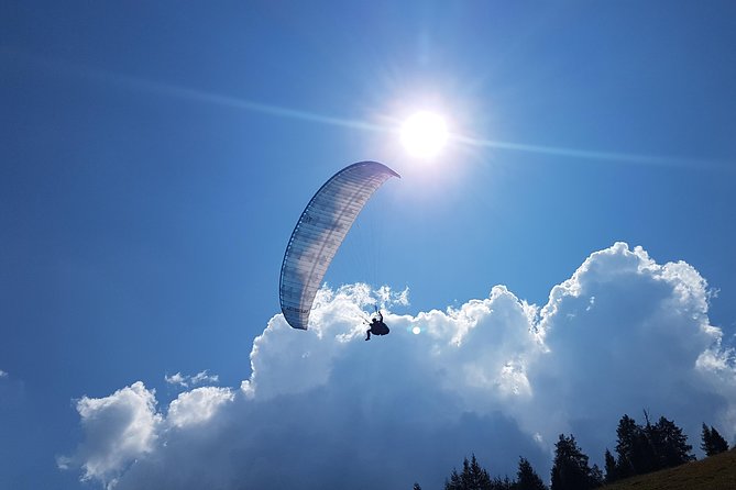 Tandem paragliding in the Stubai Valley near Innsbruck - Who Will Love This Experience?