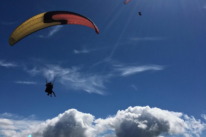 Tandem Paragliding Over the Rugged Lava Fields at Blue Mountains - Feedback and Ratings From Past Participants