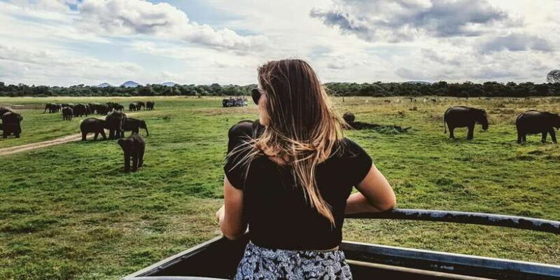 Tangalle/Hiriketiya: Udawalawa Safari & Elephant Orphanage - Key Points