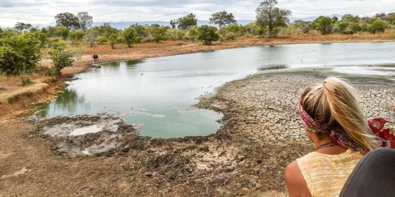 Tangalle/Hiriketiya: Udawalawa Safari & Elephant Transit Hom - Frequently Asked Questions