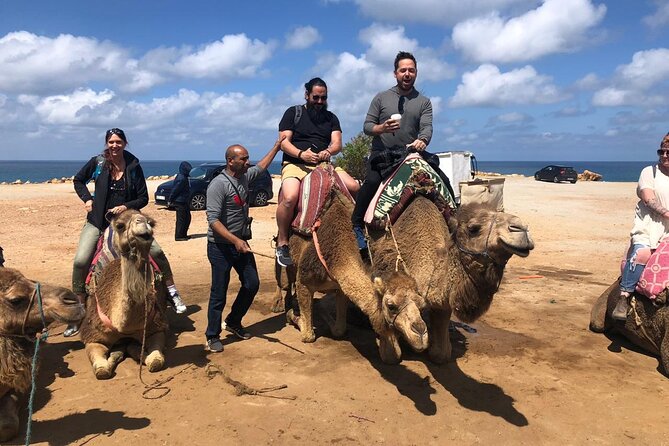 Tangier Day Trip From Seville Review - Pricing and Booking Information