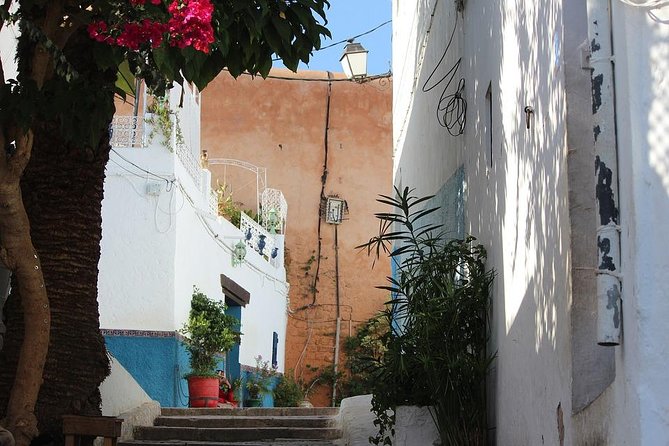 Tangier Day Trip From Seville With Lunch Included & Local Guide - Feedback and Tips From Previous Travelers