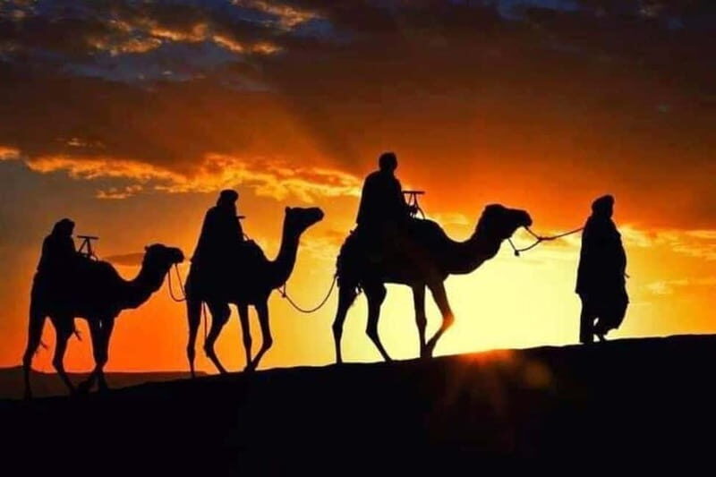 Tangier: Day Trip from Tarifa To Tanger { camel ride { plage - The Itinerary in Detail