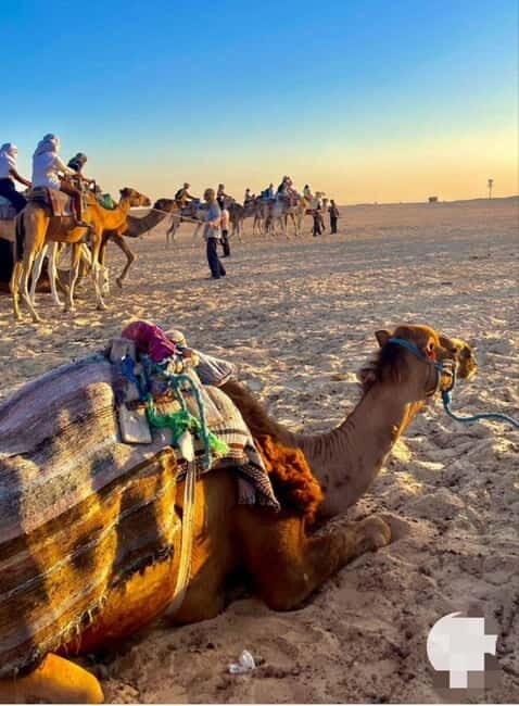 Tangier: Day Trip from Tarifa To Tanger { camel ride { plage - Who Should Consider This Tour