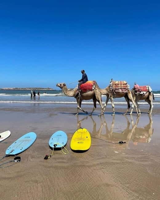 Tangier: Day Trip from Tarifa To Tanger { camel ride { plage - The Sum Up