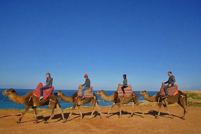 Tangier in Morocco private tour from Seville for up to 8 persons - Practical Details on Transportation and Timing
