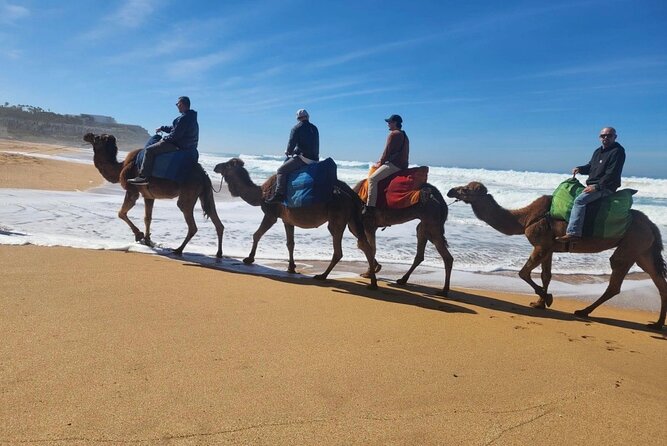 Tangier Luxury Private Day Tour From Tarifa including Camel ride - Deep Dive into the Itinerary