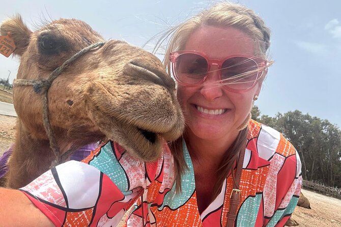 Tangier Luxury Private Day Tour From Tarifa including Camel ride - Who Will Love This Tour?