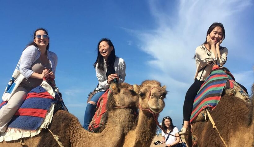 Tangier Private Half-Day Tour + Camel Ride + Add-on: Lunch - The itinerary: Breaking down the stops