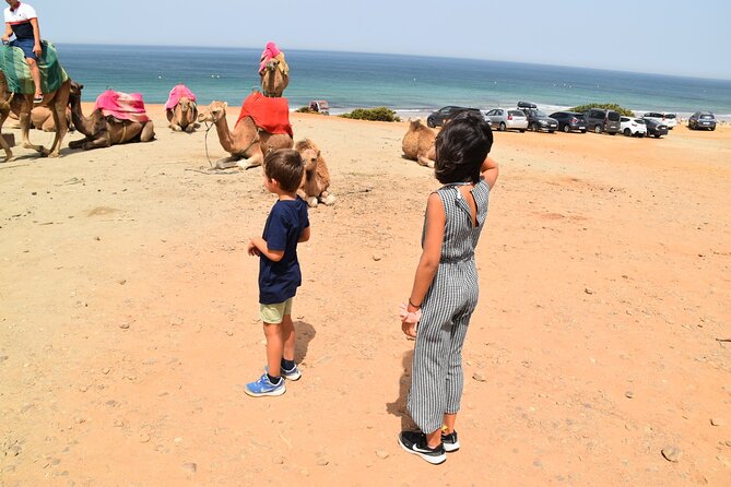 Tangier Private Tour From Malaga or Marbella W/ Guide and Driver - Important Information