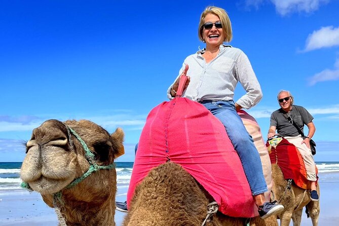 Tangier Private Tour from Seville Including Camel Ride & Lunch - Who Would Enjoy This Tour?