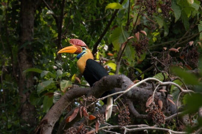 Tangkoko Bitung Manado Nature Tourism Park includes lunch. - The Itinerary in Detail