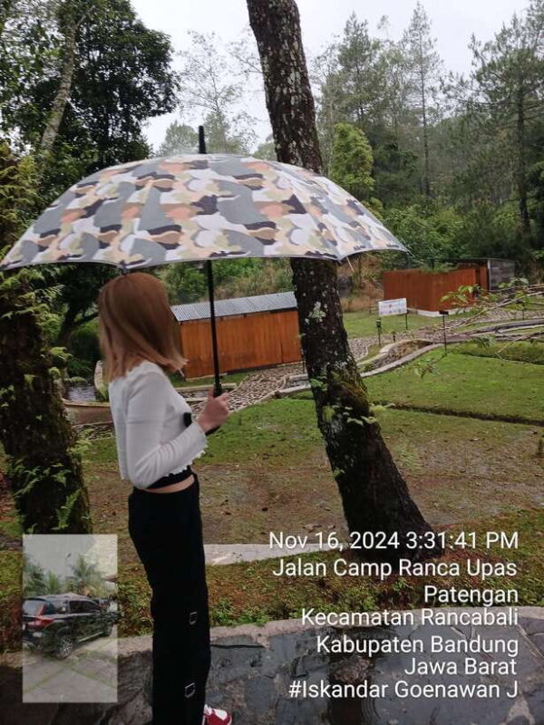 Tangkuban Perahu Mountain Tour - Key Points