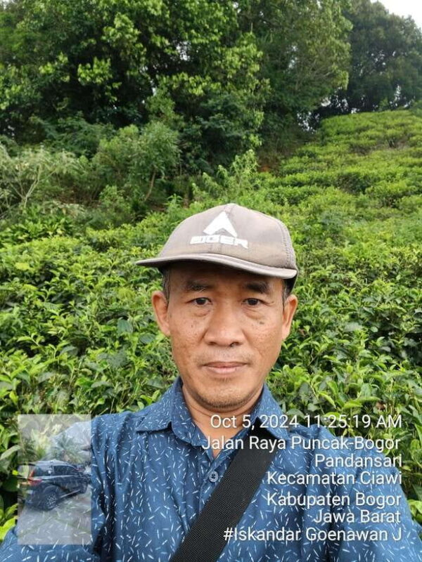 Tangkuban Perahu Mountain Tour - Why This Tour Is a Good Choice