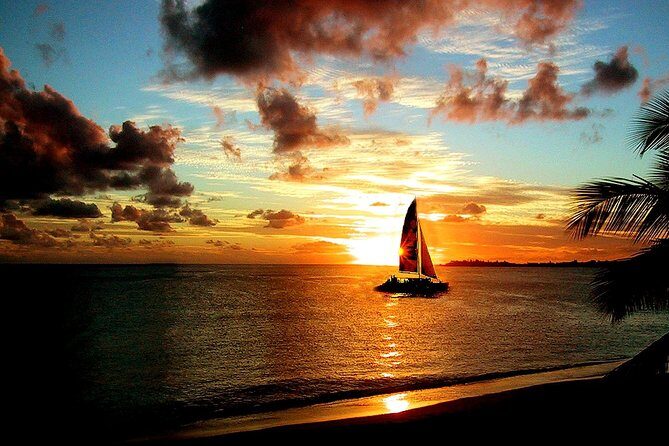 Tango Caribbean Dinner Cruise - What the Reviews Say