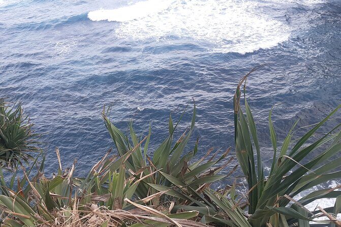 Tanna Island: Full Day Tour Including Mt Yasur Volcano and the Hotspring - Final Thoughts: Is This Tour Right for You?