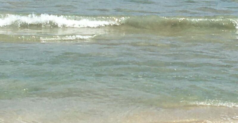 Tanoa Waterfront Hotel to Natadola Beach Round Trip - What Makes This Tour Stand Out