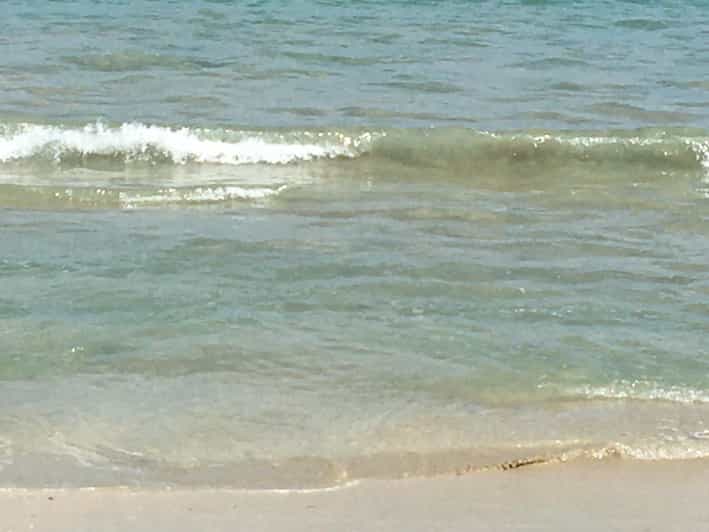 Tanoa Waterfront Hotel to Natadola Beach Round Trip - Who Is This Tour Best Suited For?