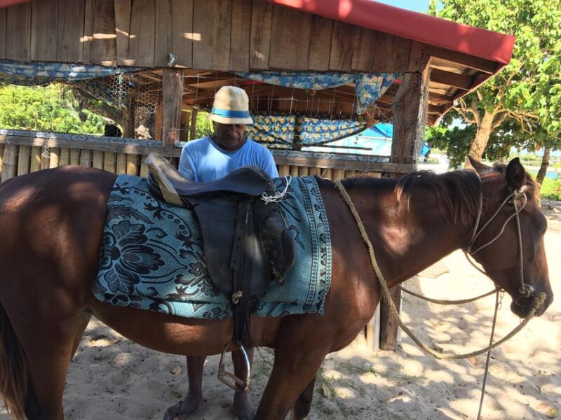 Tanoa Waterfront Hotel to Natadola Beach Round Trip - FAQ