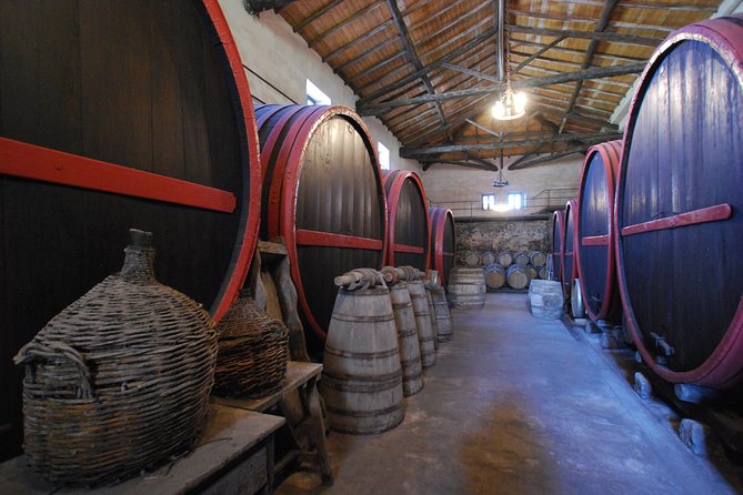 Taormina and Etna with driver Wine experience to ask for - Transportation and Comfort