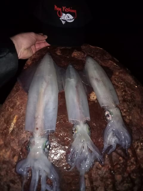 TAORMINA: Cephalopod FISHING Course With ROY FISHING - Participation Restrictions