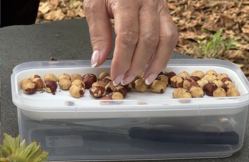 Taormina: Food and wine tour near Etna - FAQ