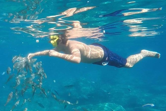Taormina Snorkeling Experience - Inclusions and Amenities