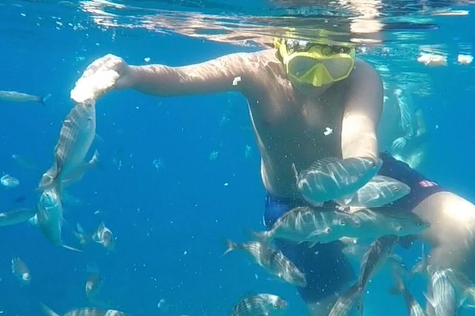 Taormina Snorkeling Experience - Meeting and Pickup Details