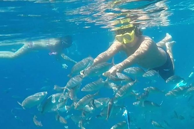 Taormina Snorkeling Experience - Customer Reviews and Experiences